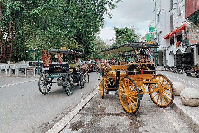 3-Hour Yogyakarta Hidden Food Walking or Cycling Guided Tour - Exploring Palembang Street’s Pempek