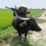 3 Hours Hoi An Countryside Bicycle Tour - Stop 3: Thanh Ha Pottery Village