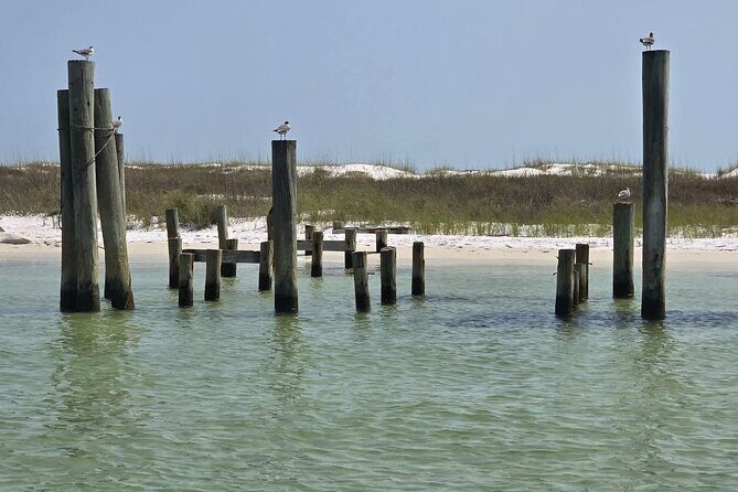 3 Hours Shell Island Experience - The Meeting Point and Logistics