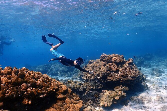 3-Island Speedboat Tour: Racha Noi, Racha Yai & Maiton - What Makes the Islands Special