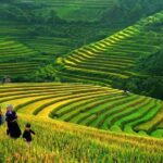 3-Night Sapa Trek and Homestay with Round Trip Transfer from Hanoi - The Experience: What Travelers Love and What They Should Consider