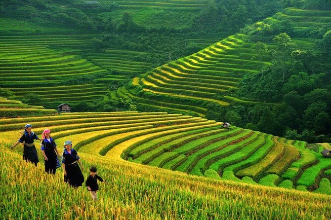 3-Night Sapa Trek and Homestay with Round Trip Transfer from Hanoi - The Experience: What Travelers Love and What They Should Consider