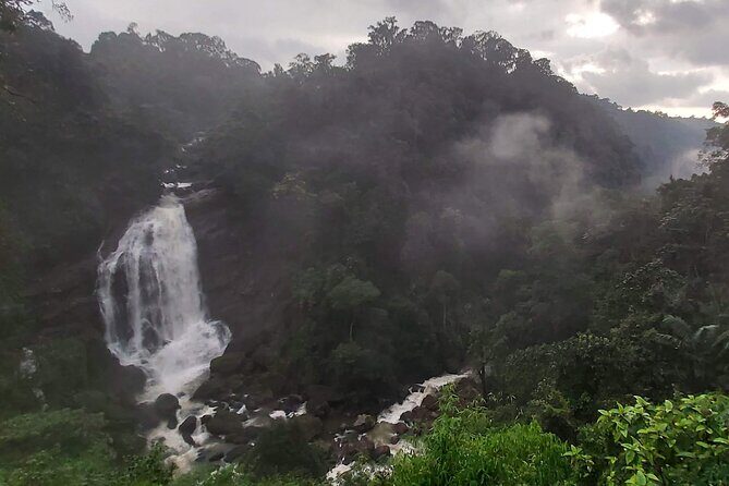 3 Nights Private Tour with Exclusive Houseboat- Sanguine Holidays - Analyzing the Value