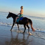 30 Minutes Horse Riding Seminyak Beach - Final Thoughts: Who Will Love This Experience?