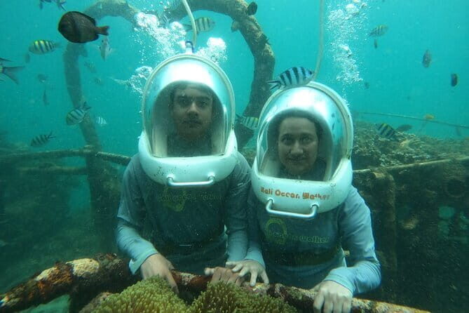 30 Minutes Ocean Walking in Nusa Dua, Bali - The Marine Environment