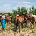 3d, 2n Tour to Terelj National Park, Elsen Tasarkhai Sand Dunes - Authentic Experiences and Sightseeing Highlights