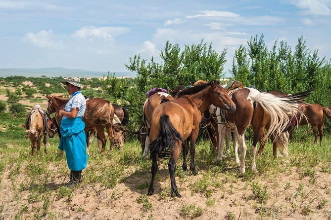 3d, 2n Tour to Terelj National Park, Elsen Tasarkhai Sand Dunes - Authentic Experiences and Sightseeing Highlights