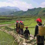 3D2N, Sapa Trekking Tour from Hanoi (Homestay & Hotel Overnight) - Personal impressions from reviews