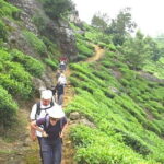 3,Days Trekking Through the Misty Mountain & Horton Plaine from Ella,Haputale - Day 1: From Haputale to the Forests of Ohiya