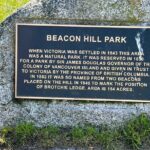 3hr Victoria City Highlights  Private Tour (Day/Night, 14 Pax) - Deep Dive into the Itinerary