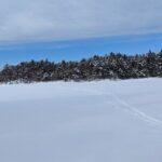 4.5 hours Snowshoe hike in Shiretoko five lakes - The Itinerary in Detail