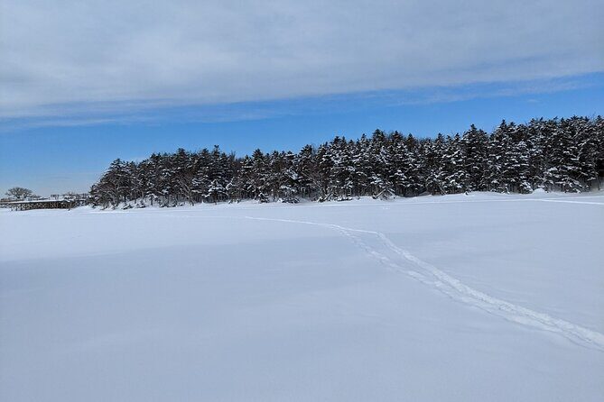 4.5 hours Snowshoe hike in Shiretoko five lakes - The Itinerary in Detail