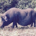 4 Day 3 Night adventure - Practical Aspects and Value