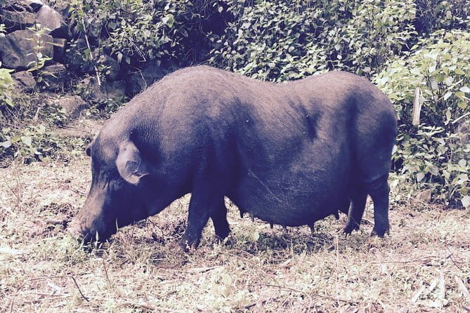 4 Day 3 Night adventure - Practical Aspects and Value