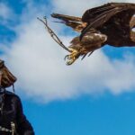 4 Day Golden Eagle Festival - Price and Value Analysis