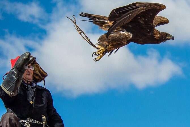 4 Day Golden Eagle Festival - Price and Value Analysis