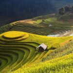 4-day Ha Giang: Trekking Hoang Su Phi Terraced Fields & Homestay - What’s Included and What’s Not?
