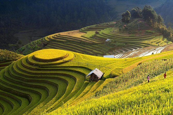 4-day Ha Giang: Trekking Hoang Su Phi Terraced Fields & Homestay - What’s Included and What’s Not?