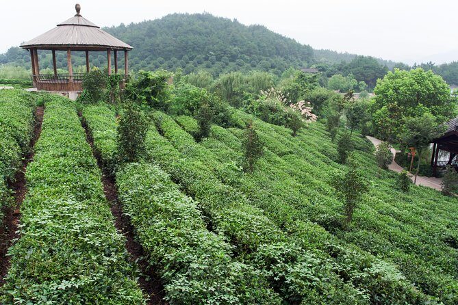 4-Day Hangzhou Private Tour: West Lake and Longjing Tea Plantation - Day 2: West Lake by Foot and Boat, Qinghefang Ancient Street
