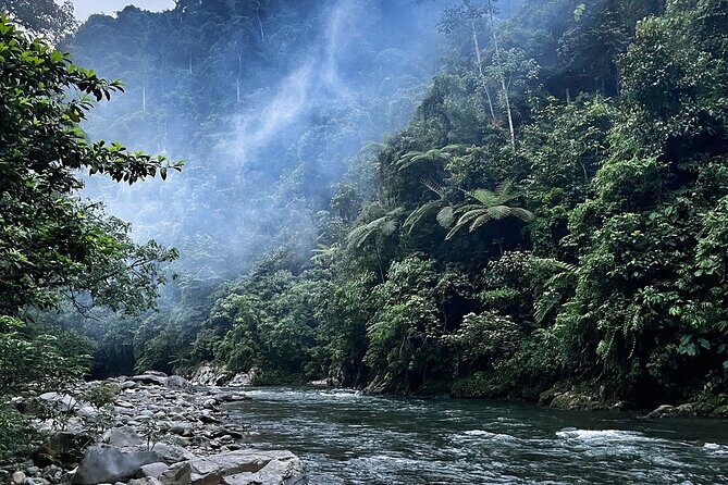4 Day Jungle Adventure including 2 day trek - Introduction