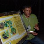 4-Day Jungle Experience in Taman Negara from Kuala Lumpur - Final Thoughts: Is It Worth It?