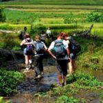 4-Day Jungle Trekking in Ba Be National Park - Why This Tour Works Well for Travelers