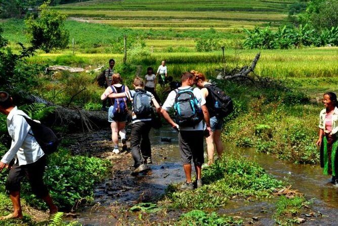 4-Day Jungle Trekking in Ba Be National Park - Why This Tour Works Well for Travelers