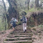 4 Day Mardi Himal Trek with 2 Day Chitwan Jungle Safari Tour - Practical Details and What to Expect
