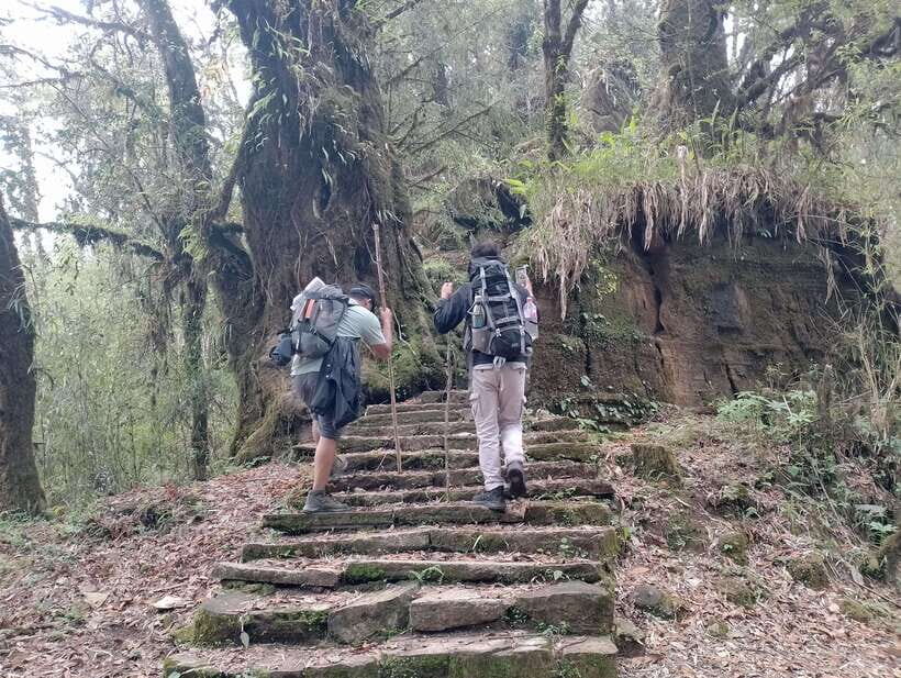 4 Day Mardi Himal Trek with 2 Day Chitwan Jungle Safari Tour - Practical Details and What to Expect