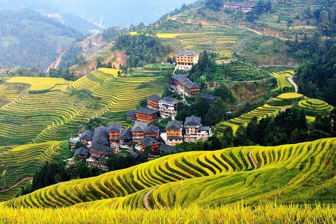4-Day Private Essence China Tour including Xian, Guilin, Beijing and Shanghai - Who Is This Tour Best For?