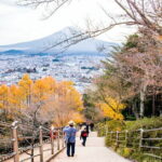 4-Day Private Tour MT Fuji, Kamakura, Hakone, Nikko - What Makes This Tour Standout