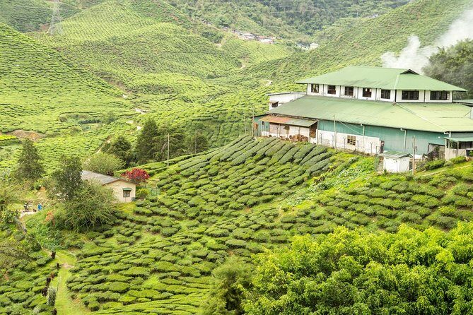 4 Days Best of Kerala Tour with Private Houseboat, Sightseeing & Car - Day 2: Exploring Munnar’s Natural and Cultural Gems