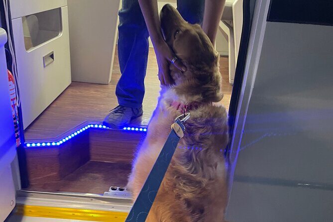 4 Days Caravan trip to Mukteshwar - Discovering the Heart of the Journey