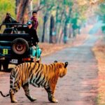 4 Days Golden Triangle Tour with Ranthambore from Delhi - Value and Practicality: What Travelers Should Know
