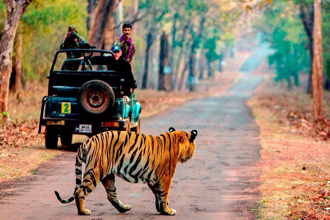 4 Days Golden Triangle Tour with Ranthambore from Delhi - Value and Practicality: What Travelers Should Know