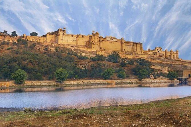 4 Days: Guided Jaipur, Ranthambore, Udaipur Tour With Hotels - Day 2: Wildlife Adventure in Ranthambore