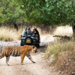 4 Days Jaipur, Ranthambore, Agra Tour including Safari & Hotels - What’s the Experience Like?