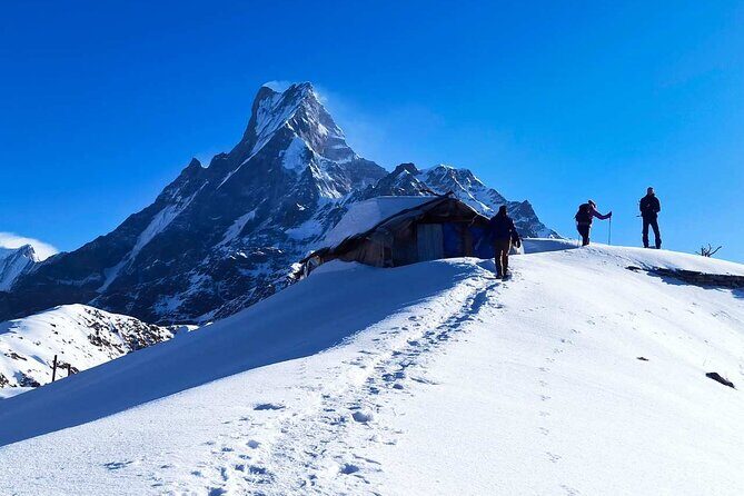 4 Days Mardi Himal Base Camp Trekking in Pokhara - Accommodation and Included Services