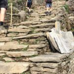 4 Days Poon Hill Trek from Pokhara - Detailed Day-by-Day Breakdown