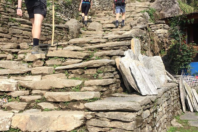 4 Days Poon Hill Trek from Pokhara - Detailed Day-by-Day Breakdown