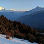 4 Days Poon Hill Trek from Pokhara - The Experience: An In-Depth Look at the 4-Day Poon Hill Trek from Pokhara