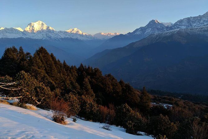 4 Days Poon Hill Trek from Pokhara - The Experience: An In-Depth Look at the 4-Day Poon Hill Trek from Pokhara