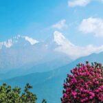 4 Days Poon hill trekking from Pokhara - Day 2: Ghorepani – The Heart of the Trekking Hub