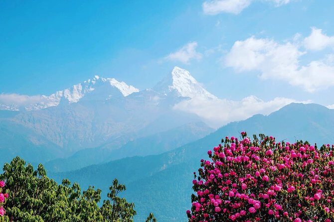 4 Days Poon hill trekking from Pokhara - Day 2: Ghorepani – The Heart of the Trekking Hub