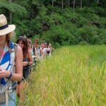 4 days toraja romantic tour / minimal 2 pax - The Experience: What Travelers Can Expect