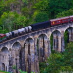 4 Days Tour to Sigiriya Nuwara Eliya Ella & Udawalawe From Kandy - What Our Reviewers Say