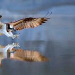 4-Hour, 5-seat ATV Rental next to Bryce National Park - The Experience: What Makes It Stand Out?