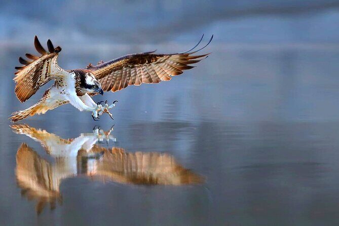 4-Hour, 5-seat ATV Rental next to Bryce National Park - The Experience: What Makes It Stand Out?