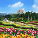 4-Hour Baiyun Mountain Yuntai Garden Private Guangzhou City Tour - Exploring Guangzhou with Your Private Guide