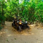 4-Hour Cancun Jungle Buggy Tour with Zipline Circuit & Cenote - Who Should Consider This Tour?